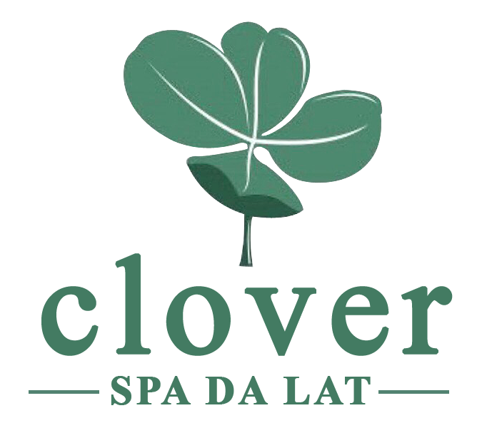 Clover Spa - Best spa massage in Nha Trang